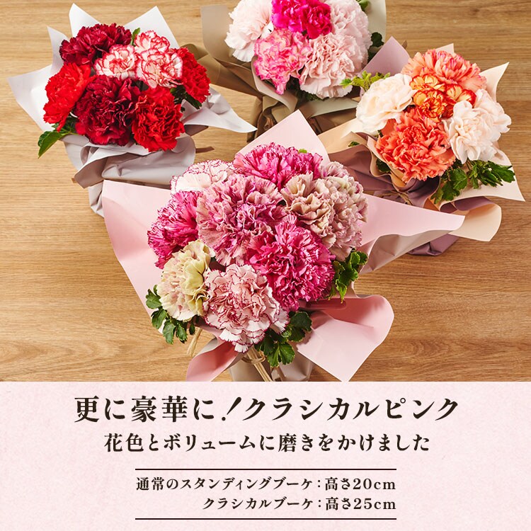 美しスタンディングブーケ クラシカルピンク ｜ 2024年 Oisix母の日ギフト特集